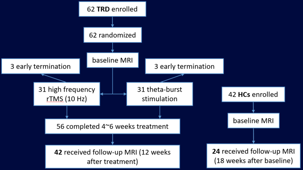 Long Term Effects Of Rtms Non Invasive Neurostimulation Therapies